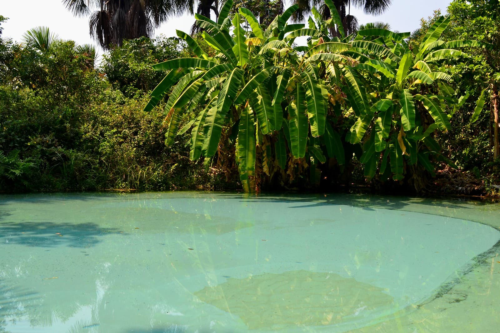 Fervedouro Bela Vista, Jalapão: Prós e Contras